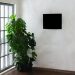 Ideas To Create Window Privacy With Plants - Jayne Thomas