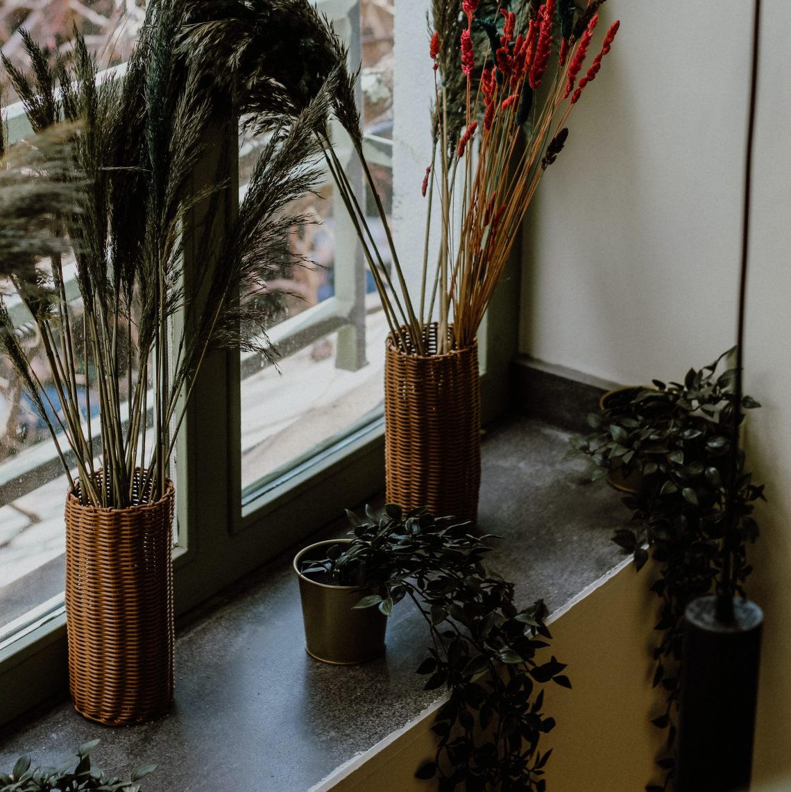 Ideas To Create Window Privacy With Plants - Jayne Thomas