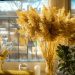 Ideas To Create Window Privacy With Plants - Jayne Thomas
