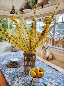 Free Home Decor: How to Use Natural Elements in Interior Design - Jayne ...